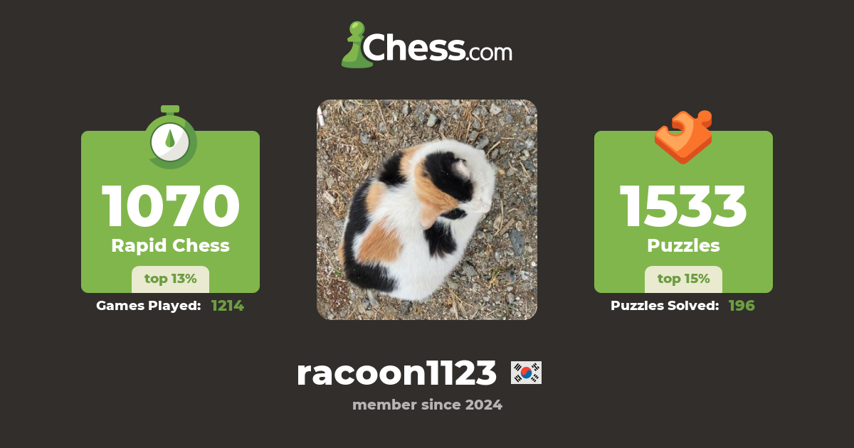racn (racoon1123) - Chess Profile - Chess.com