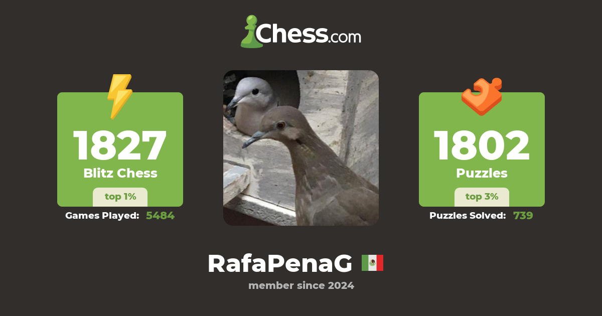 Rafael Peña (RafaPenaG) - Chess Profile - Chess.com