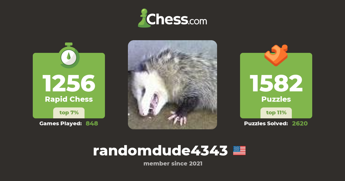 Random Dude (randomdude4343) - Chess Profile - Chess.com