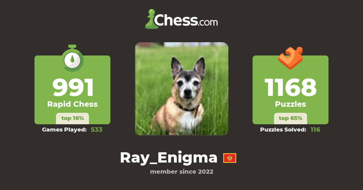 Ray_Enigma - Chess Profile - Chess.com