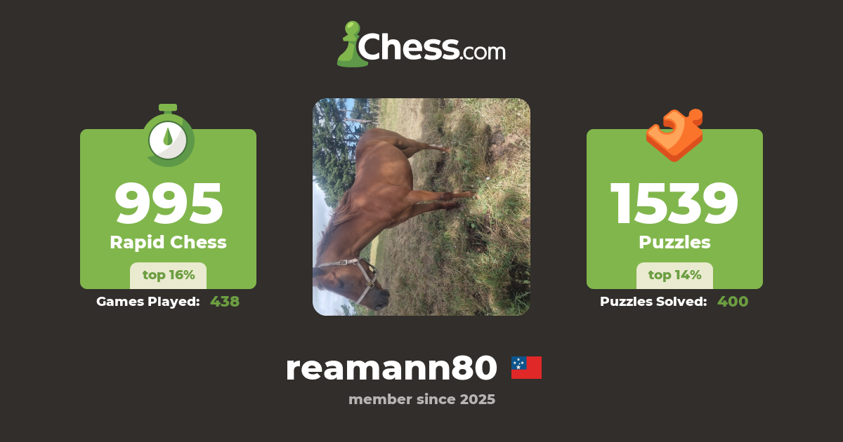 reamann80 - Chess Profile - Chess.com