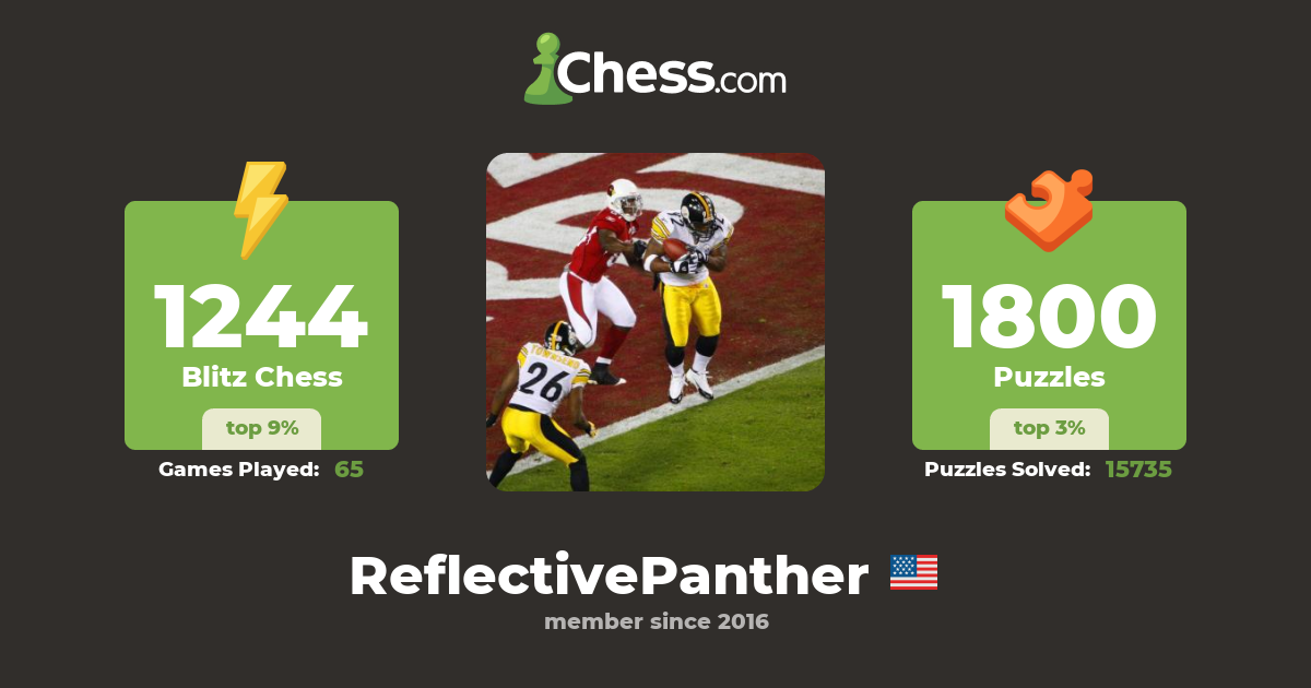 Brian Smith (ReflectivePanther) - Chess Profile - Chess.com