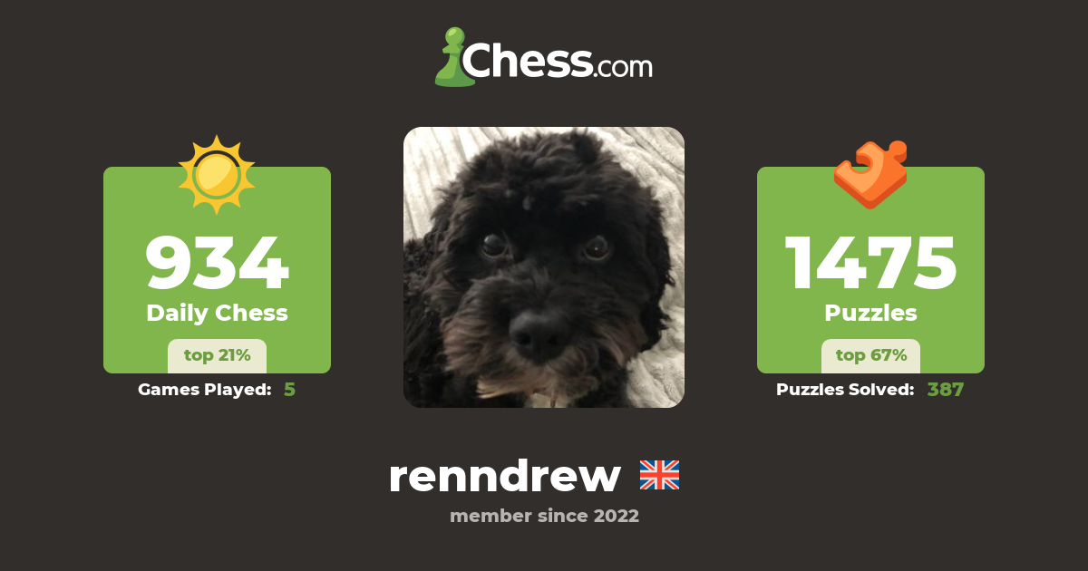 renn drew (renndrew) - Chess Profile - Chess.com