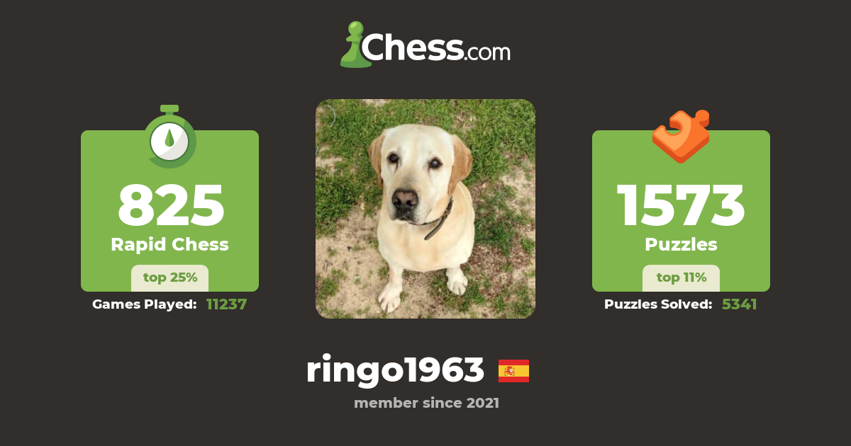 Ringo 1963 (ringo1963) - Chess Profile - Chess.com