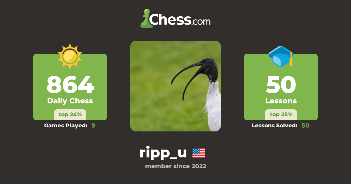 ripp_u - Chess Profile - Chess.com