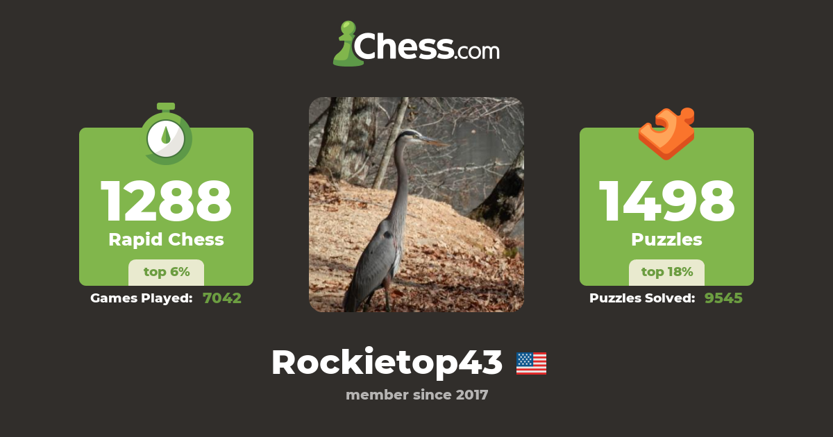 Jerry Pruitt (Rockietop43) - Chess Profile - Chess.com