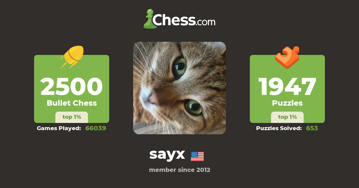 sayx - Chess Profile - Chess.com