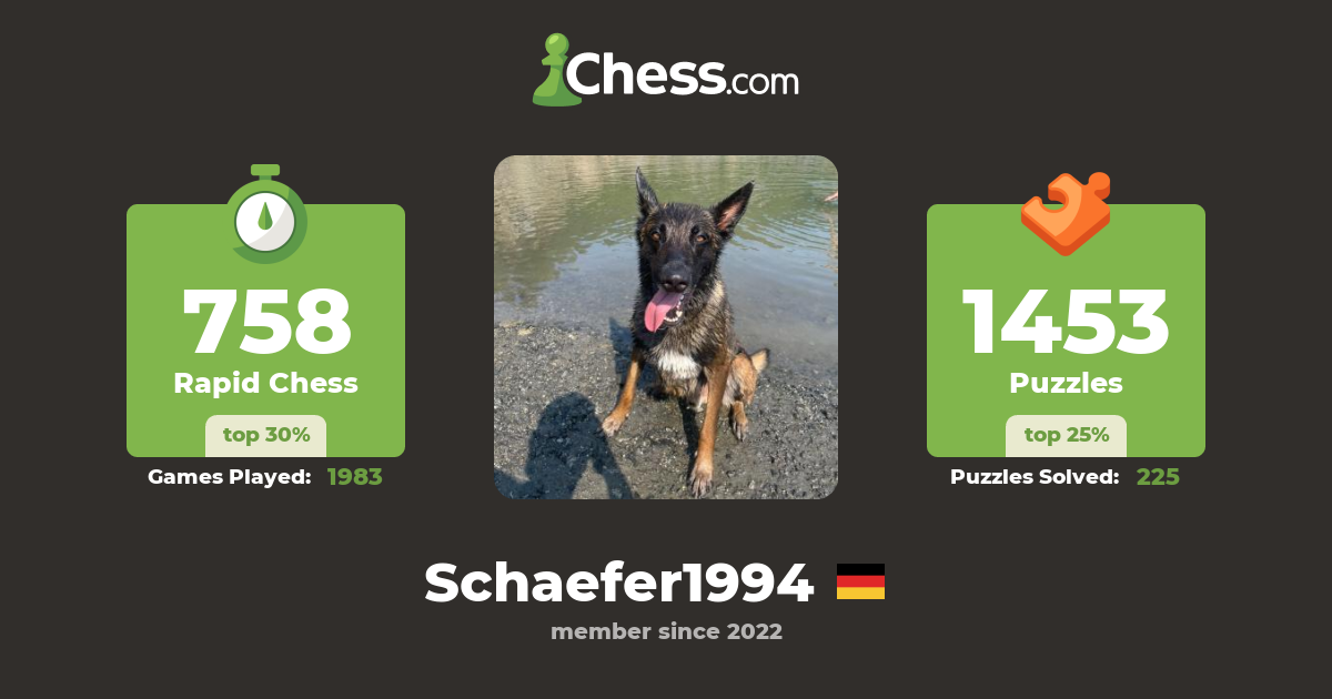 Robin Schäfer (Schaefer1994) - Chess Profile - Chess.com
