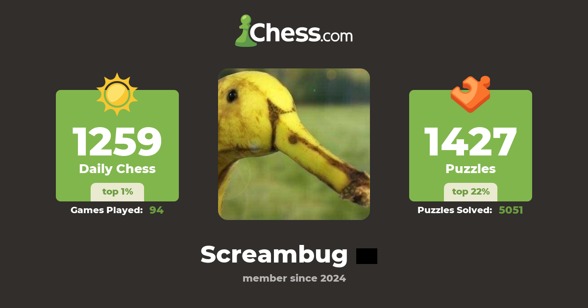 Daniel (Screambug) - Chess Profile - Chess.com