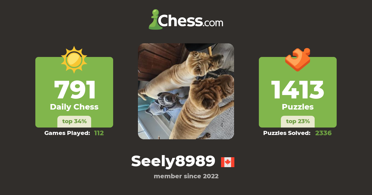 JR Seely (Seely8989) - Chess Profile - Chess.com