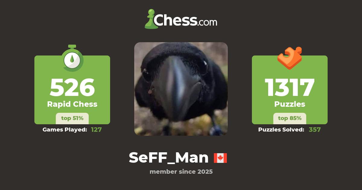 SeFF_Man - Chess Profile - Chess.com