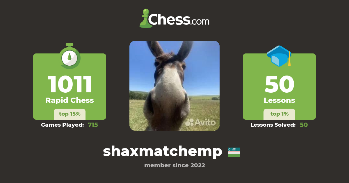 Sam Martin (shaxmatchemp) - Chess Profile - Chess.com