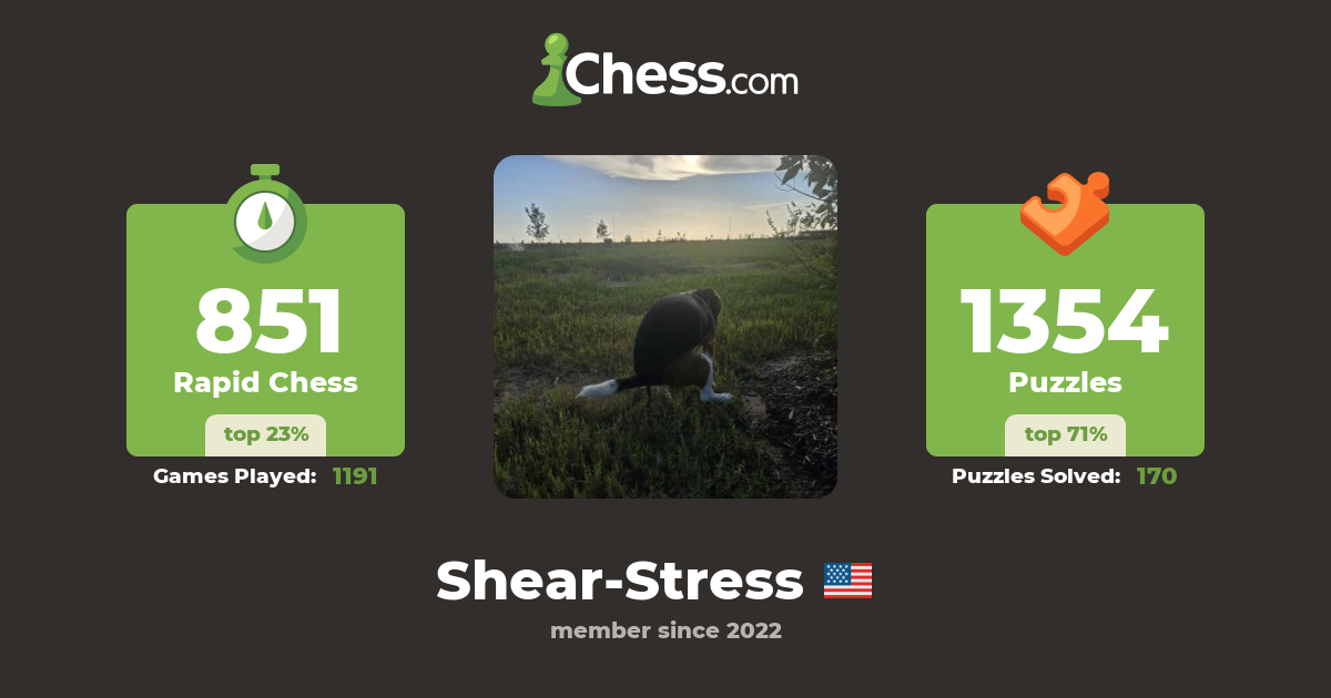 Shear-Stress - Chess Profile - Chess.com