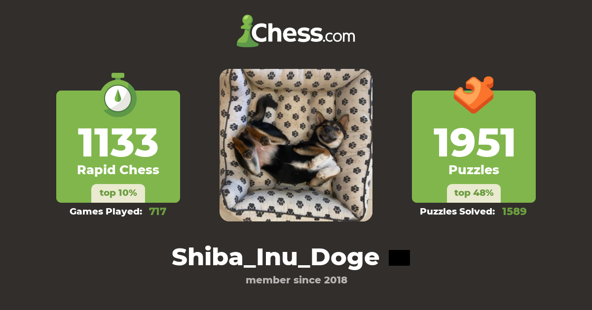 Ryan Torres (Shiba_Inu_Doge) - Chess Profile - Chess.com