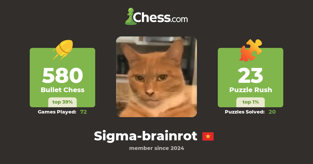 Danh Quý Hà (Sigma-brainrot) - Chess Profile - Chess.com