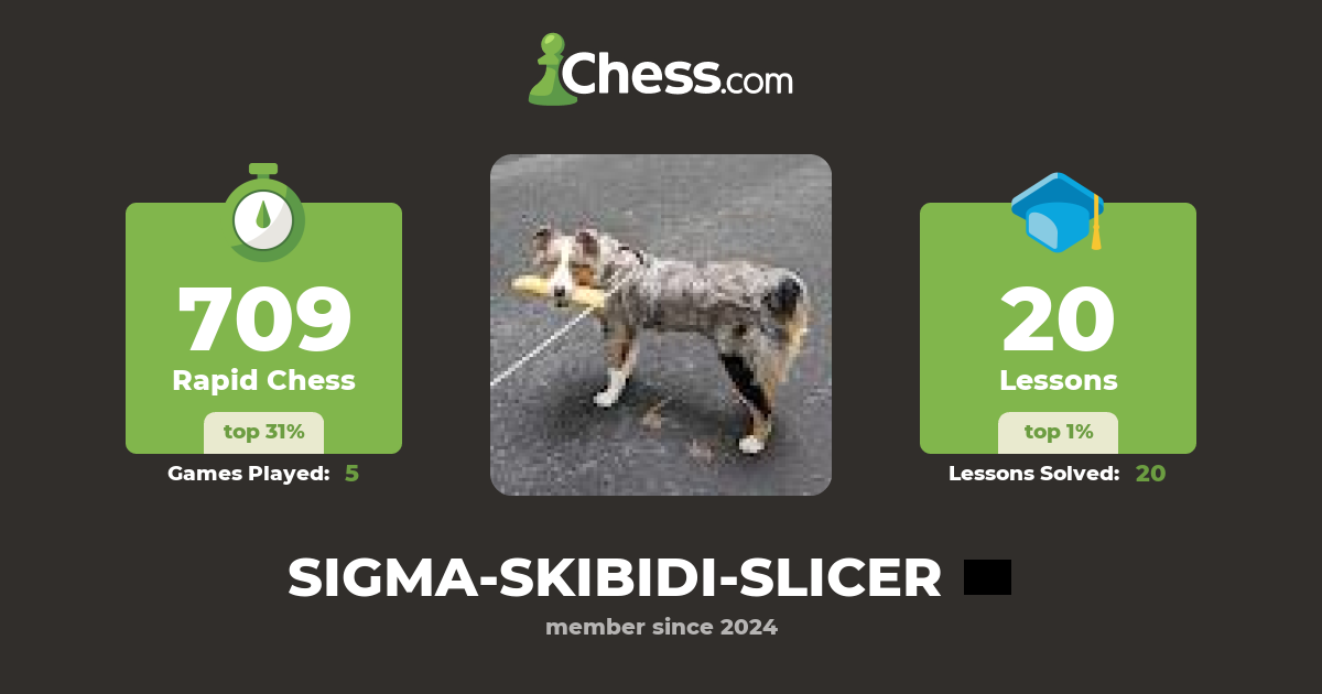 Connor (SIGMA-SKIBIDI-SLICER) - Chess Profile - Chess.com