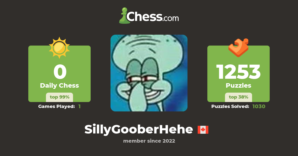 SillyGooberHehe - Chess Profile - Chess.com