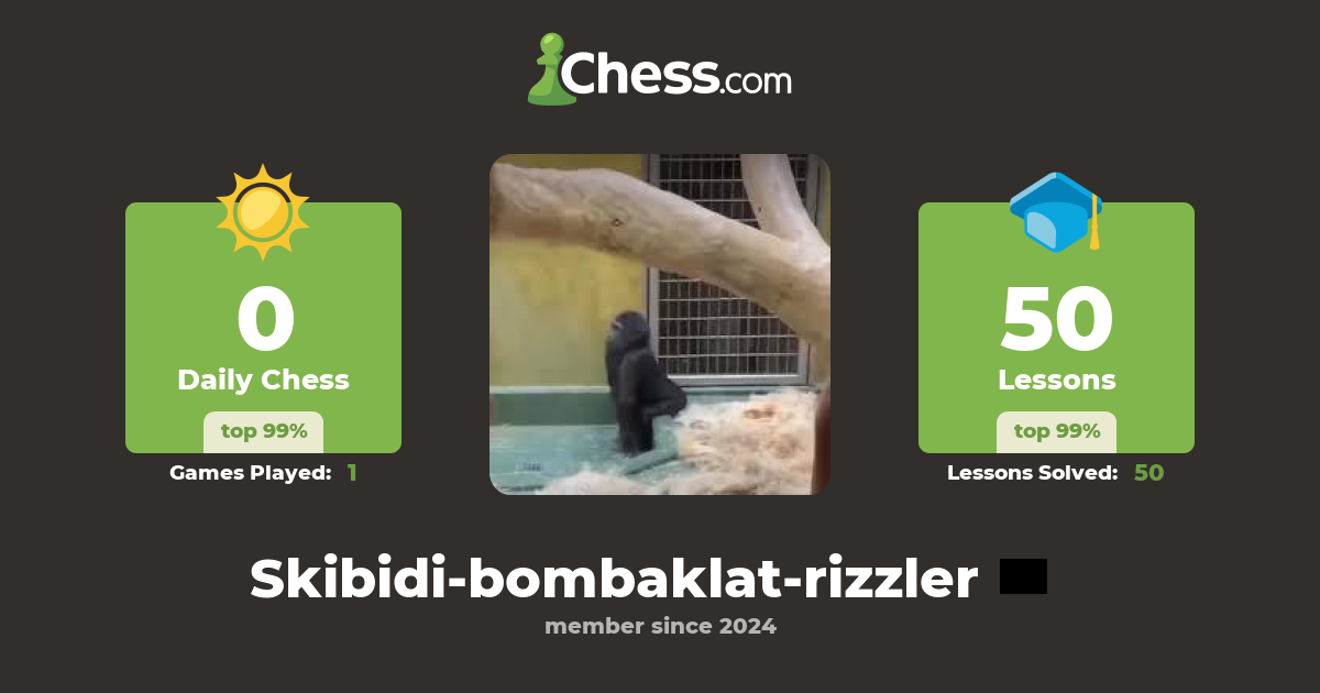Skibidi-bombaklat-rizzler - Chess Profile - Chess.com