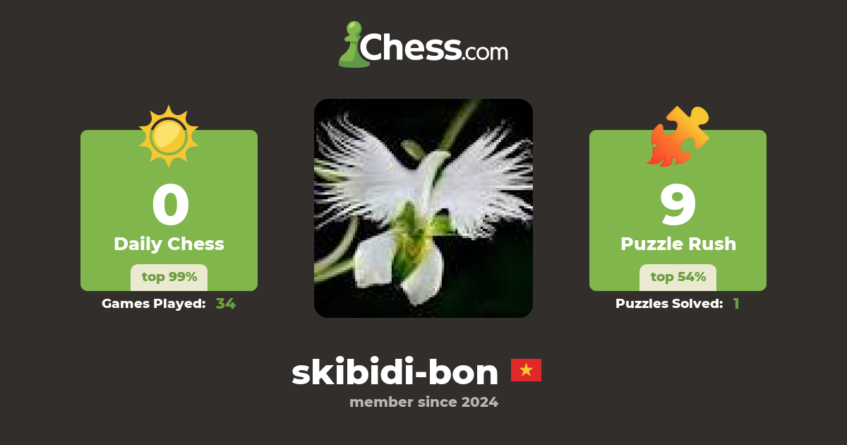 Lan Nguyen (skibidi-bon) - Chess Profile - Chess.com