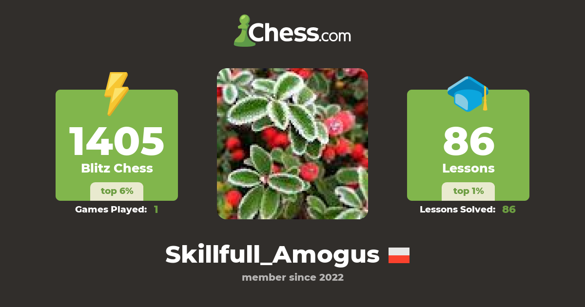 Dominik Juliusz Witkowski (Skillfull_Amogus) - Chess Profile - Chess.com