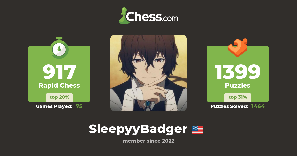 SleepyyBadger - Chess Profile - Chess.com