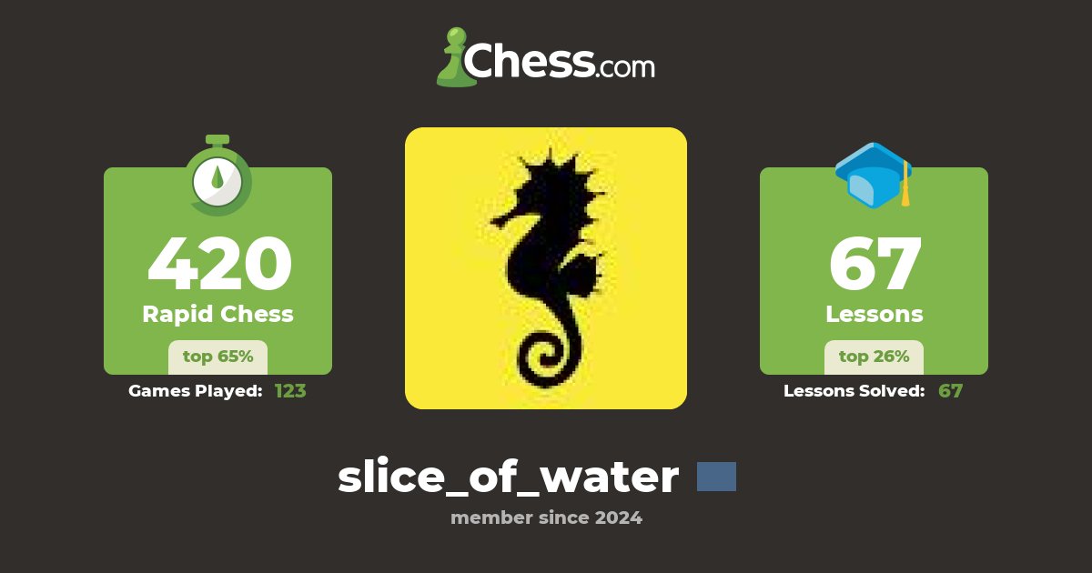 Sea Horse (slice_of_water) - Chess Profile - Chess.com