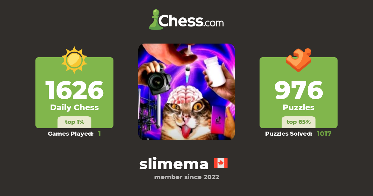 Landon D (slimema) - Chess Profile - Chess.com