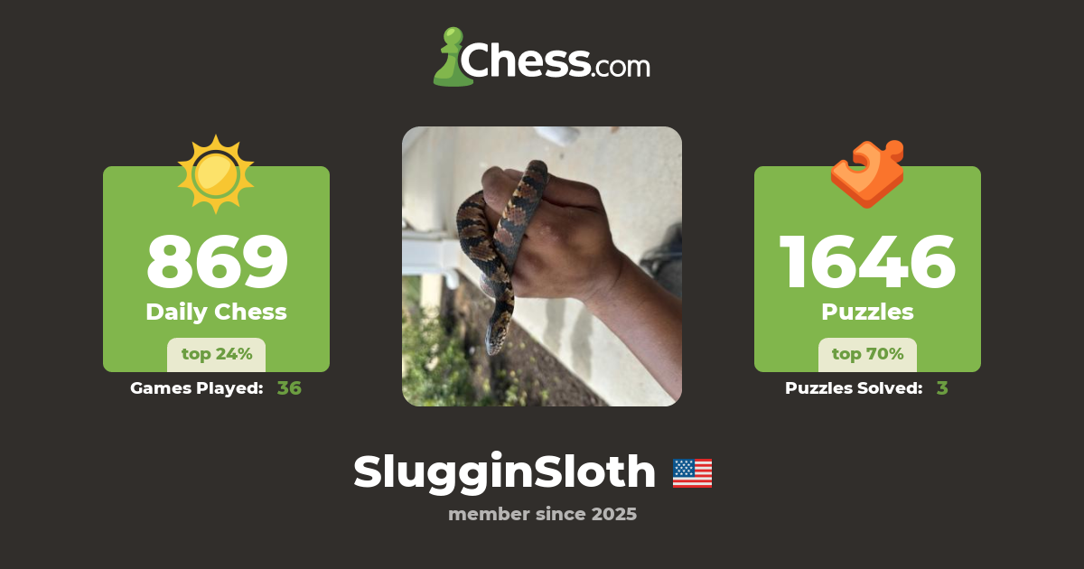SlugginSloth - Chess Profile - Chess.com