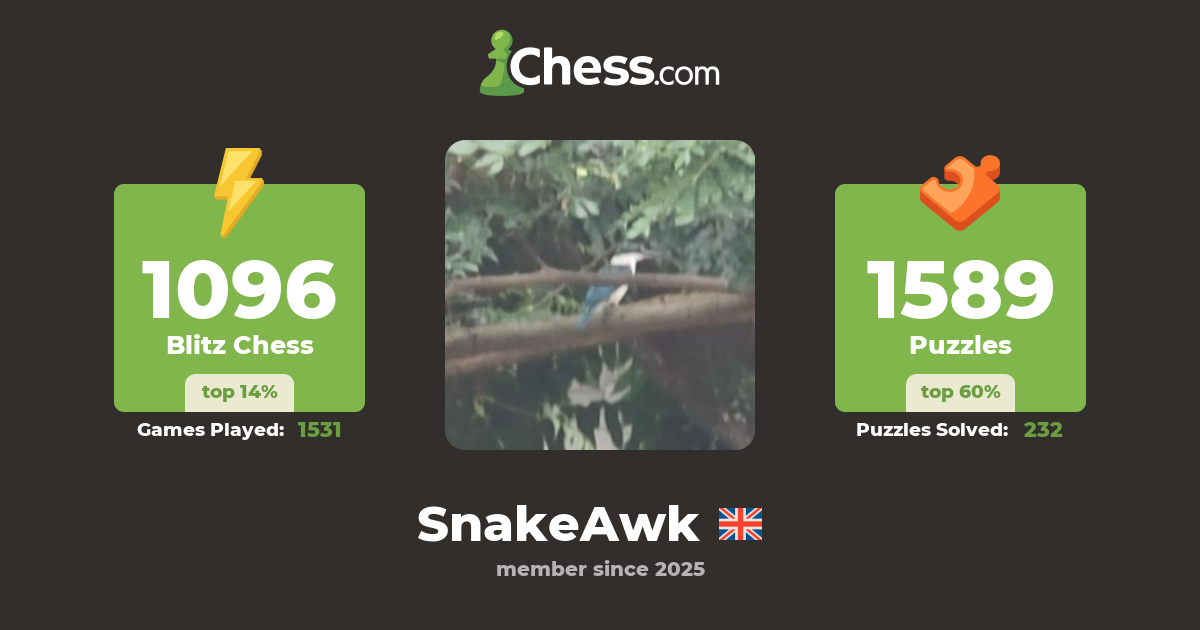 SnakeAwk - Chess Profile - Chess.com