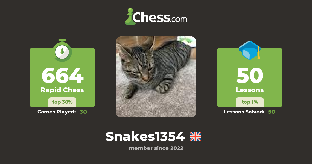 Daniel Worden (Snakes1354) - Chess Profile - Chess.com
