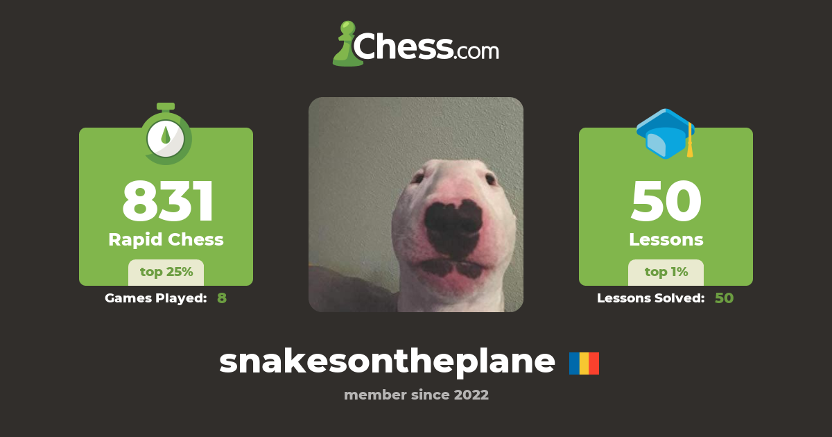 snakesontheplane - Chess Profile - Chess.com