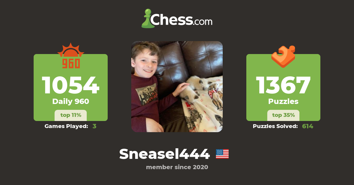 Alex Reinstein (Sneasel444) - Chess Profile - Chess.com