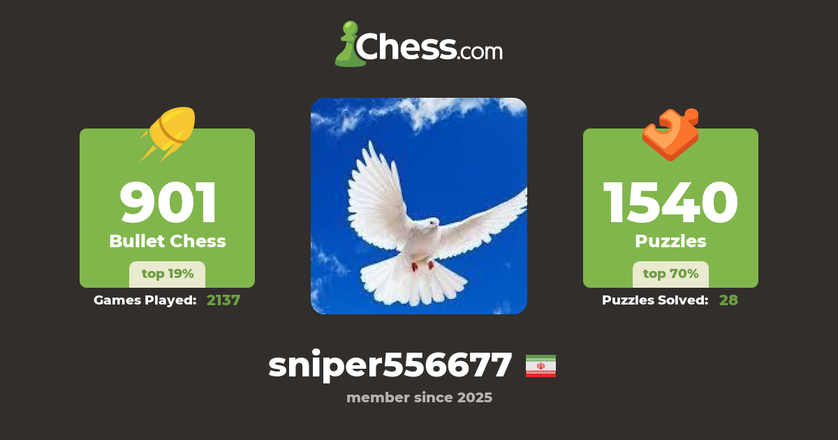 sniper556677 - Chess Profile - Chess.com