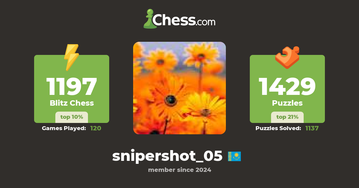 Rashid Nezhmetdinov (snipershot_05) - Chess Profile - Chess.com