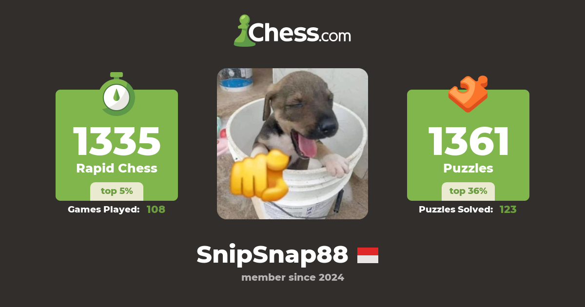 SnipSnap88 - Chess Profile - Chess.com