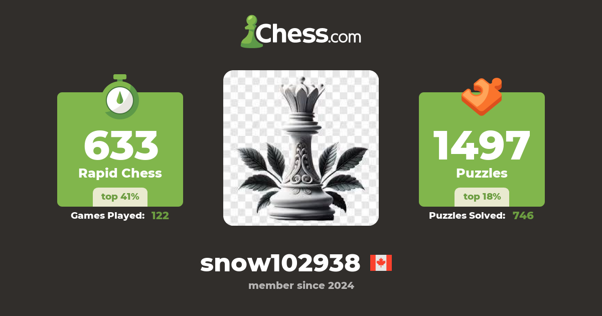 snow102938 - Chess Profile - Chess.com