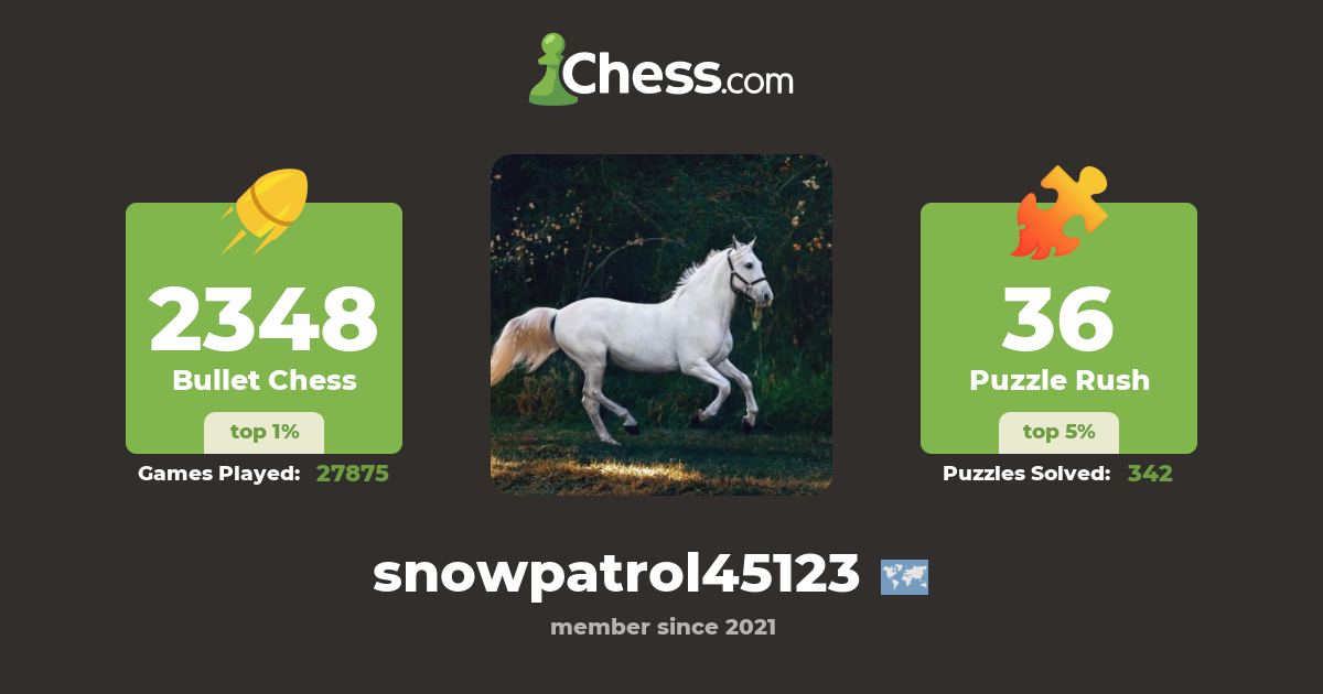 snowpatrol45123 - Chess Profile - Chess.com