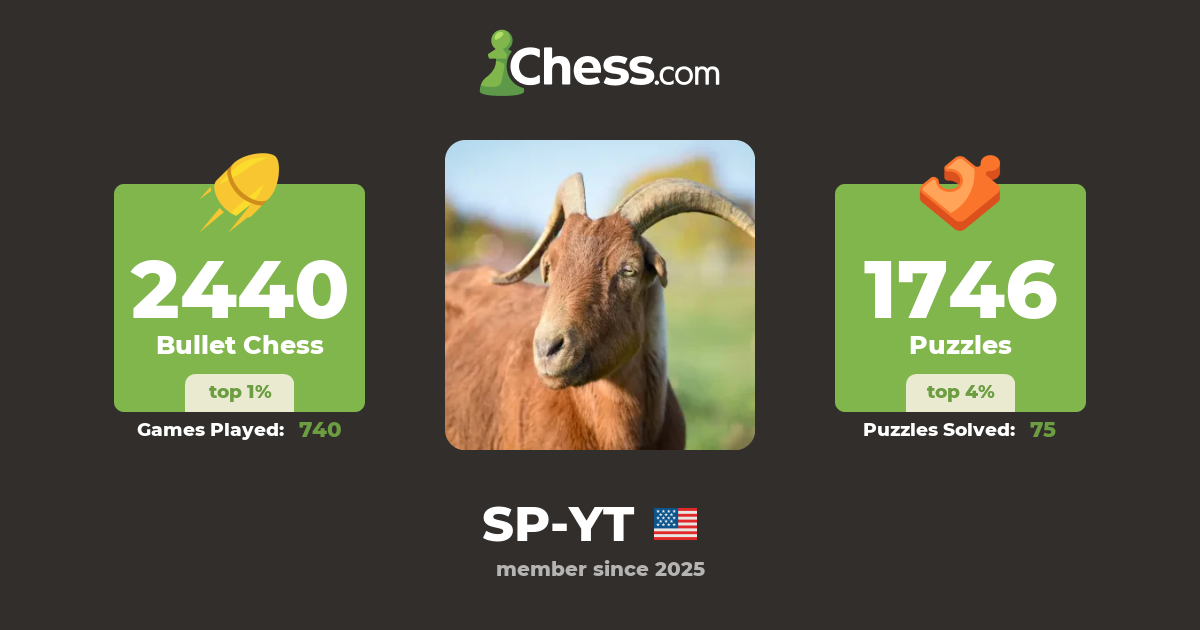 SP (SP-YT) - Chess Profile - Chess.com