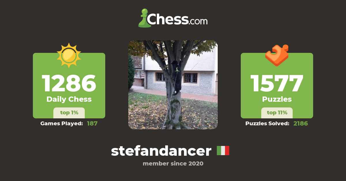 stefandancer - Chess Profile - Chess.com