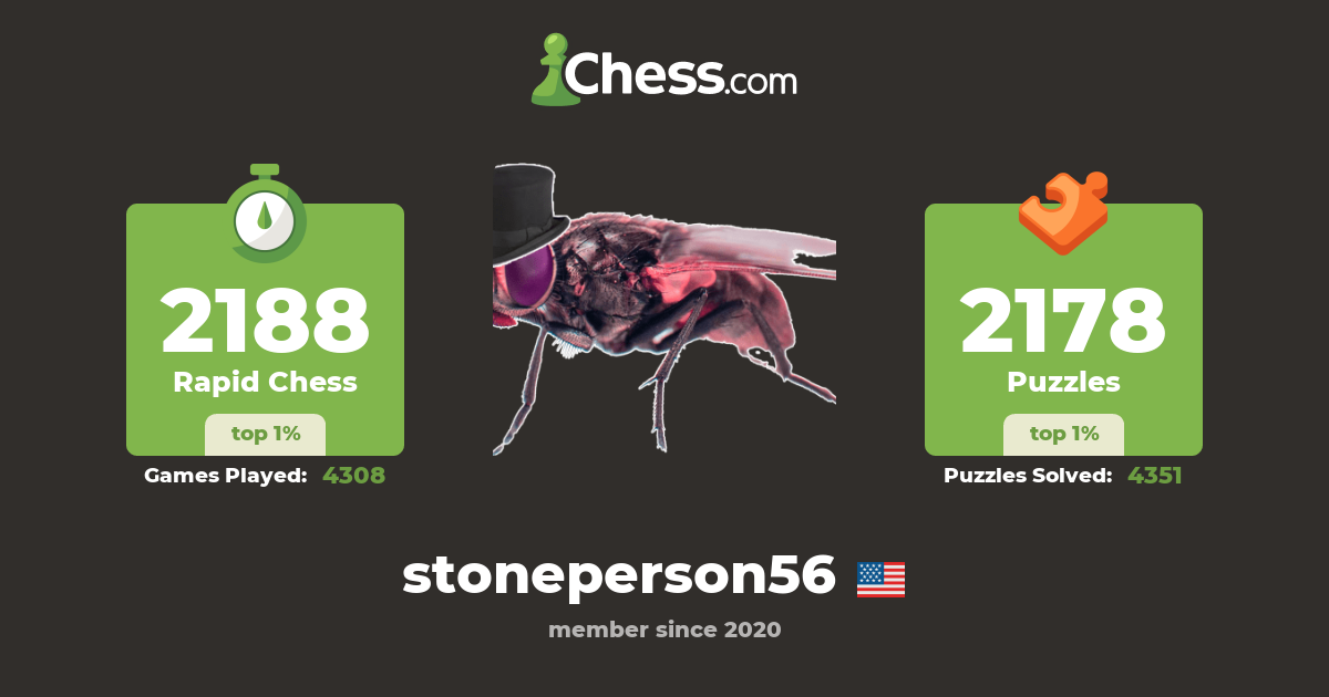 stoneperson56 - Chess Profile - Chess.com