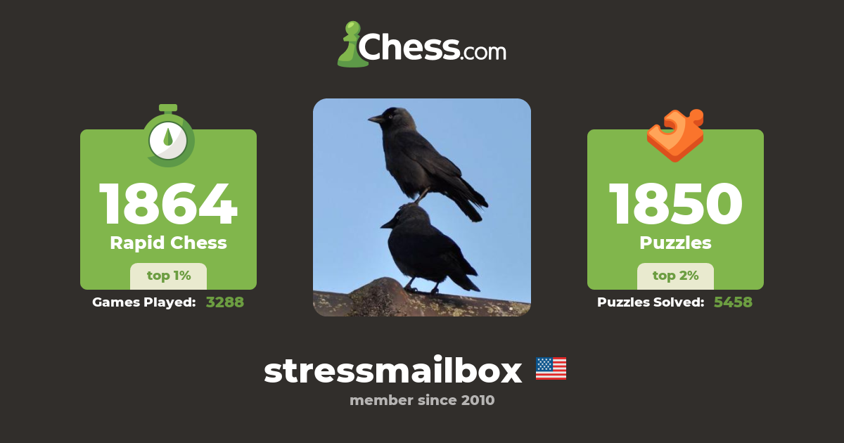 Will D (stressmailbox) - Chess Profile - Chess.com