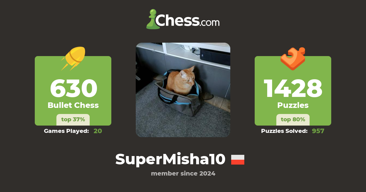 Super Misha (SuperMisha10) - Chess Profile - Chess.com
