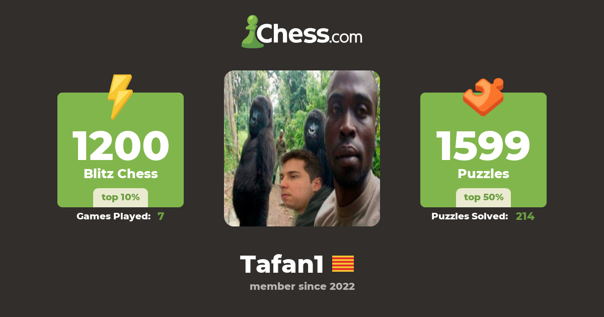 Tafan1 - Chess Profile - Chess.com