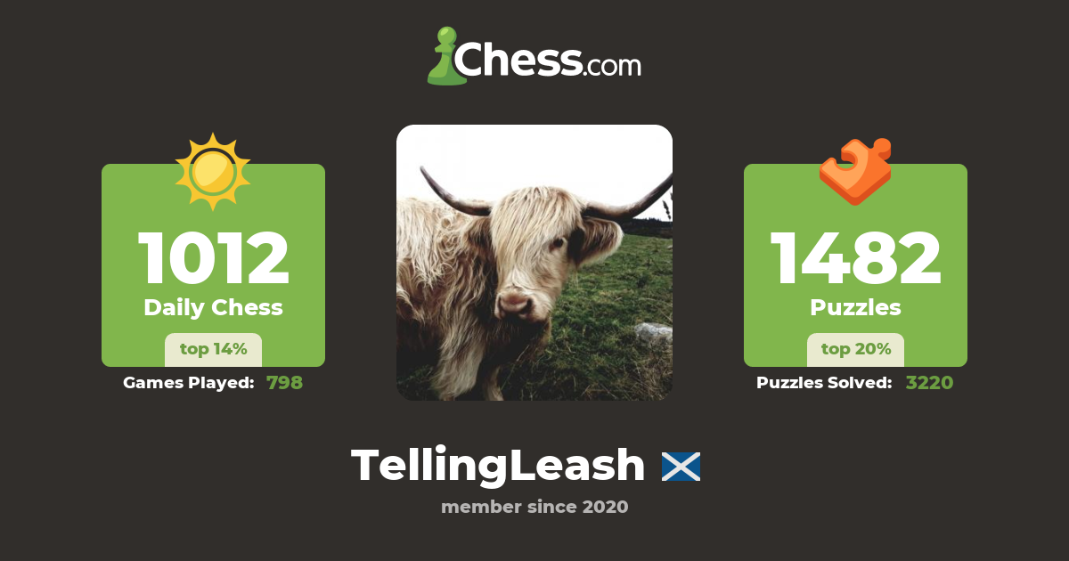 David McCorkell (TellingLeash) - Chess Profile - Chess.com
