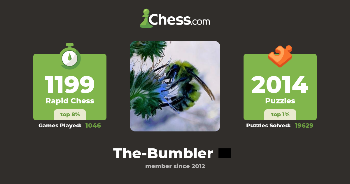 James Angove (The-Bumbler) - Chess Profile - Chess.com