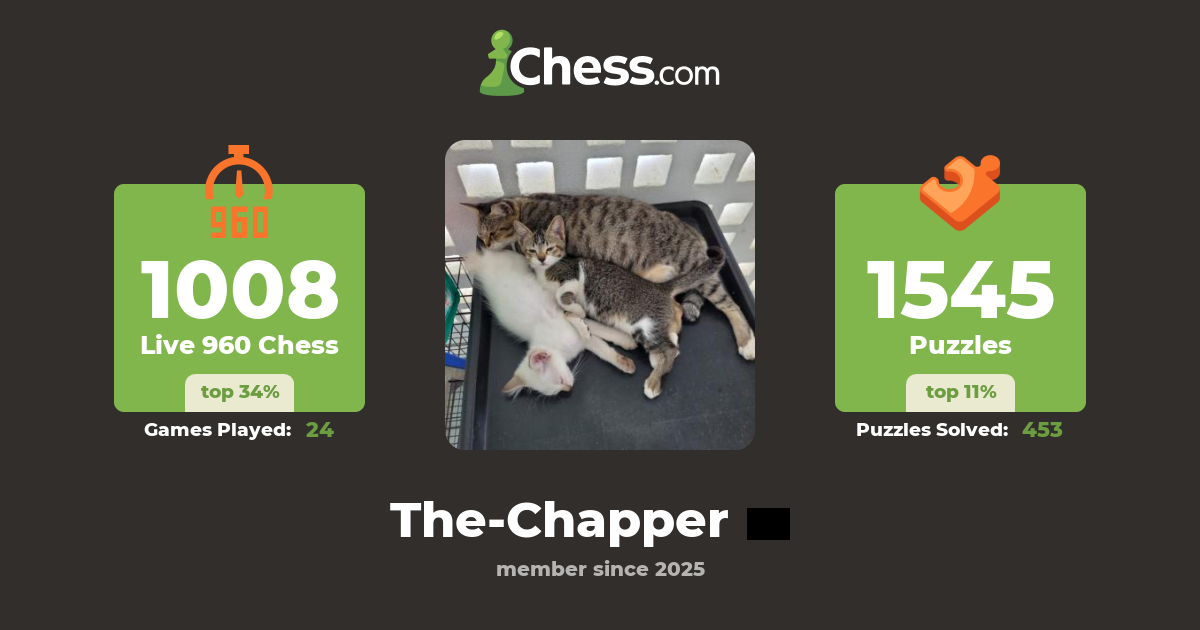The-Chapper - Chess Profile - Chess.com