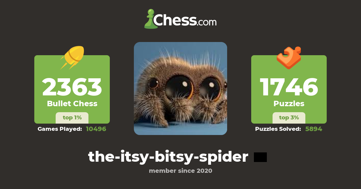 the-itsy-bitsy-spider - Chess Profile - Chess.com