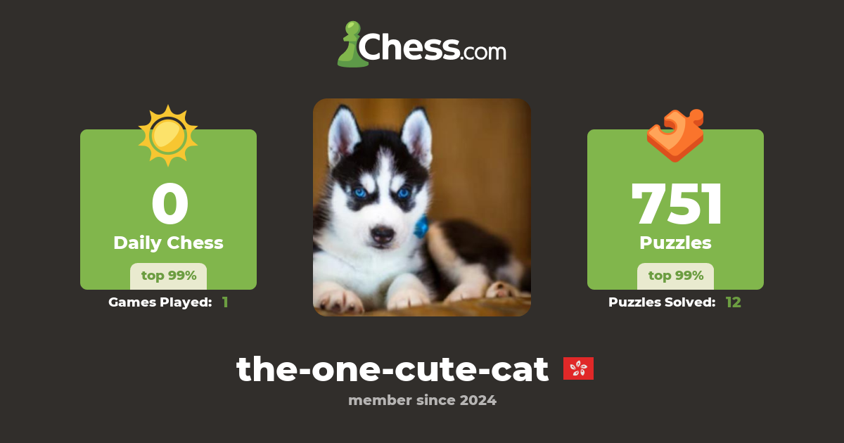 Student CHAN Tsz Ming John (the-one-cute-cat) - Chess Profile - Chess.com