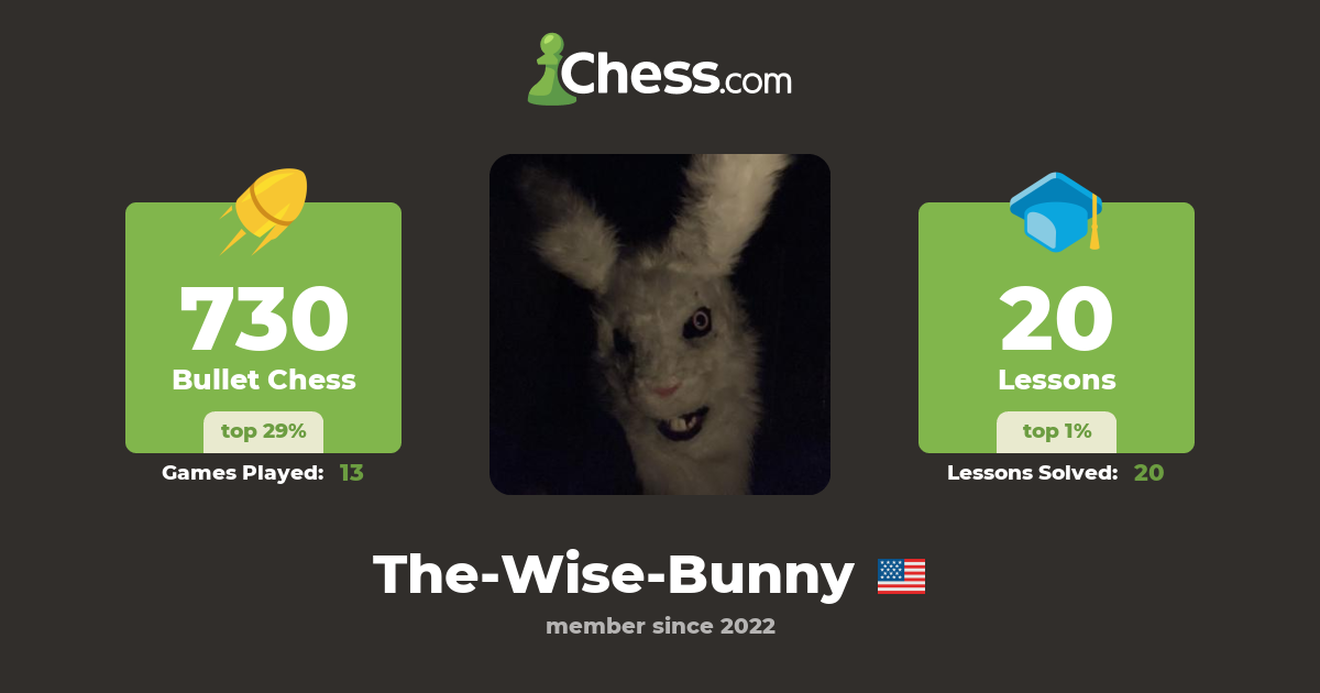 The-Wise-Bunny - Chess Profile - Chess.com