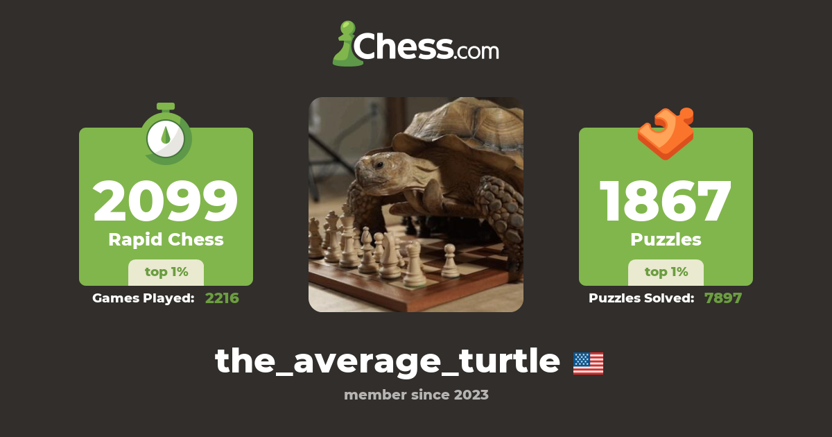 the_average_turtle - Chess Profile - Chess.com